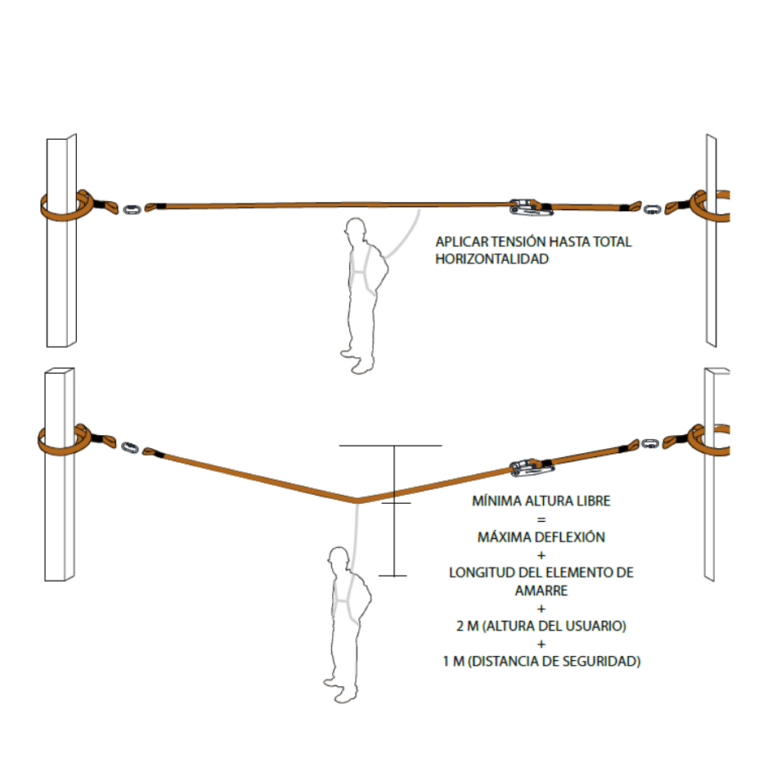 Líneas De Vida Temporales Horizontales - 2024